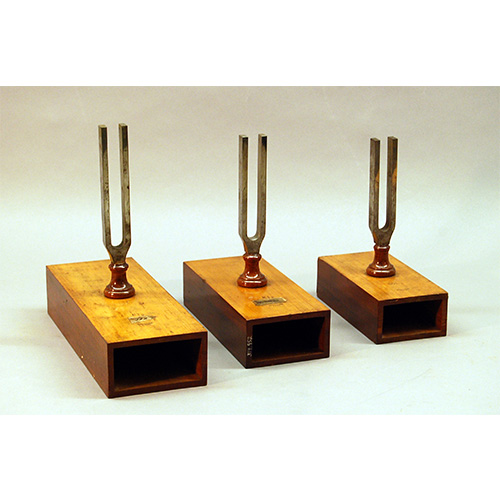 Tuning Forks on Resonance Box - Almicroinstruments