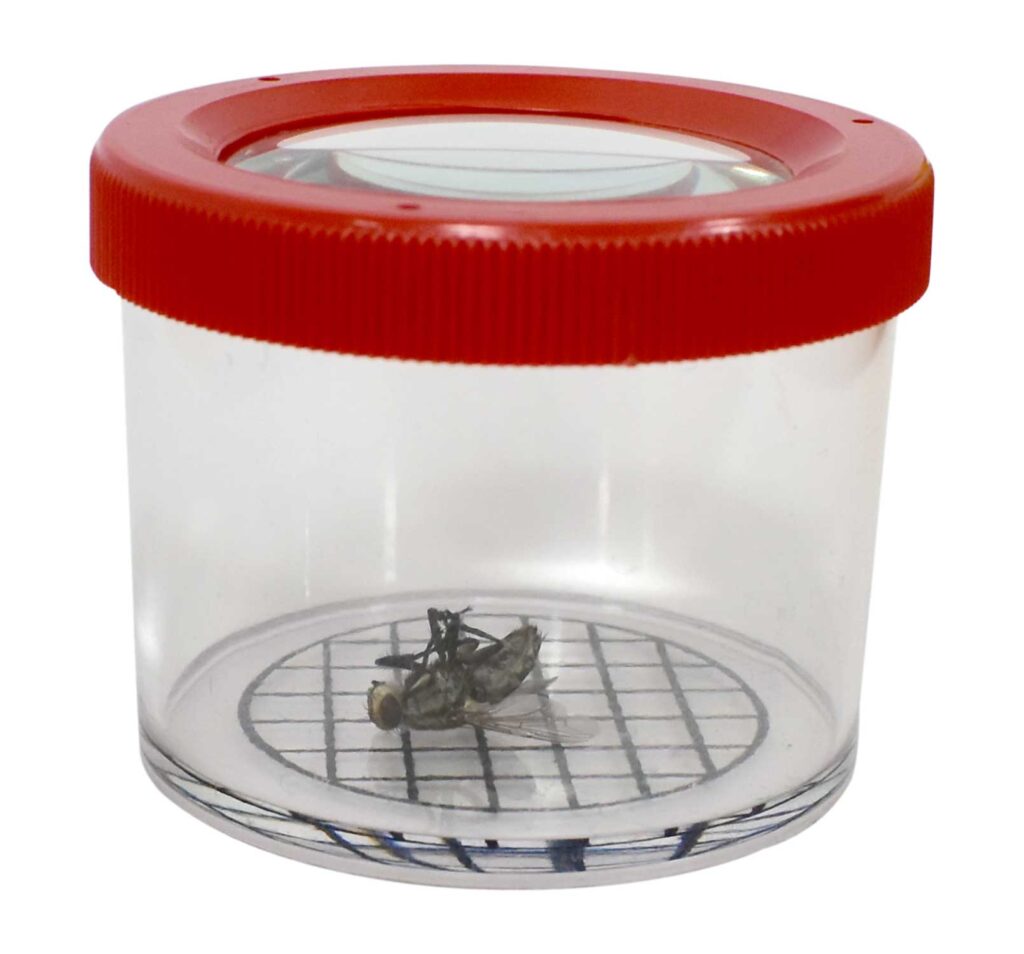 BUG VIEWER - Almicroinstruments