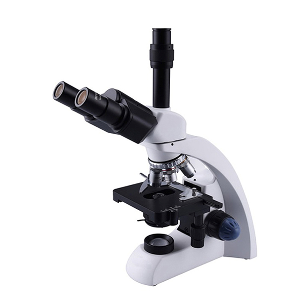 200+ Microscopes Manufacturer, Supplier & Exporter in India