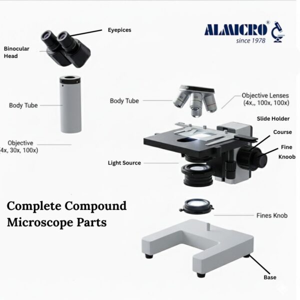 Explore Compound Microscope: Definition, Parts, Working Principle